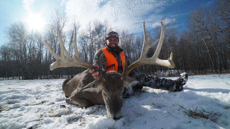 Best Deer Hunting Counties in Wisconsin - Forest of Antlers Outfitters